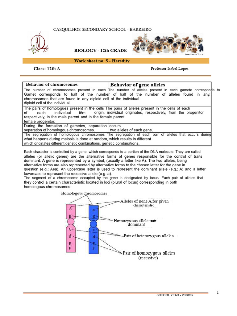 Bio 12 - Barreiro - Test 1 - Isabel Lopes | PDF | Dominance (Genetics ...