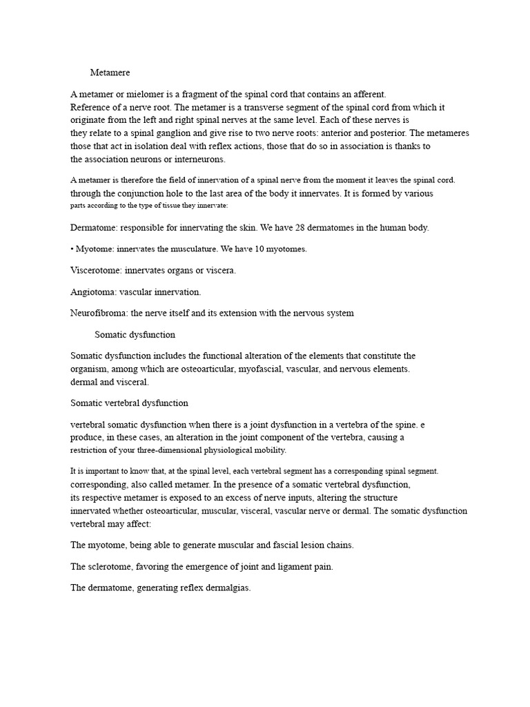 Metamera-WPS Office | PDF | Nerve | Spinal Cord