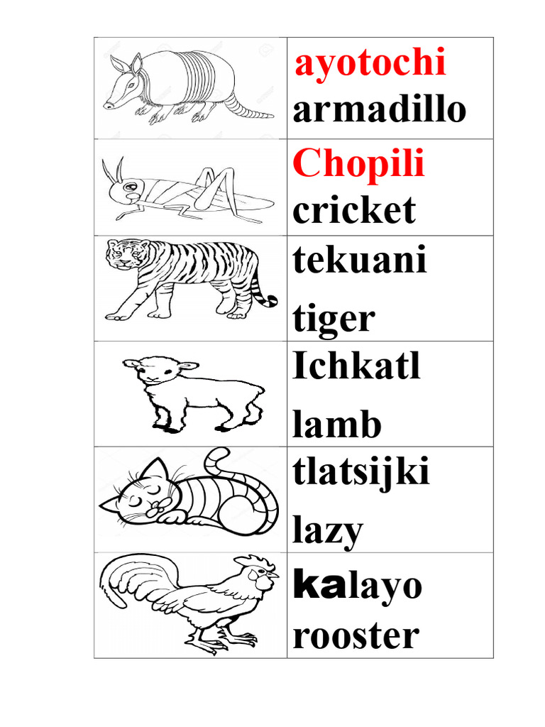 Nahuatl Alphabet With Animal Drawings 2 | PDF