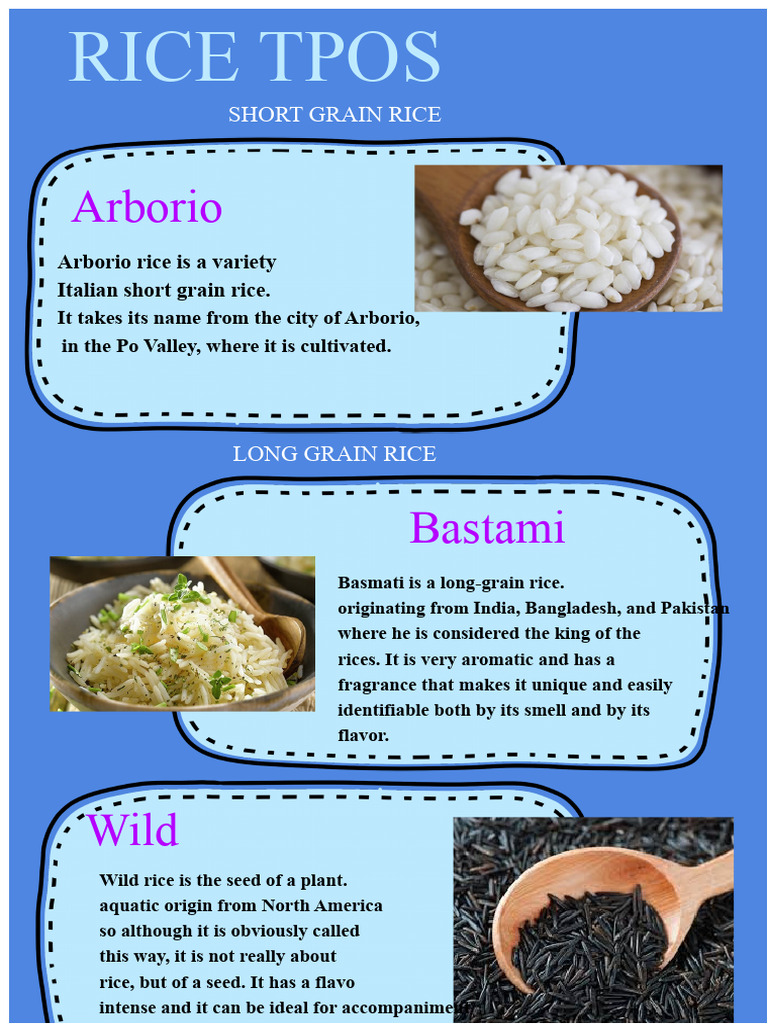 Infographic Rice | PDF