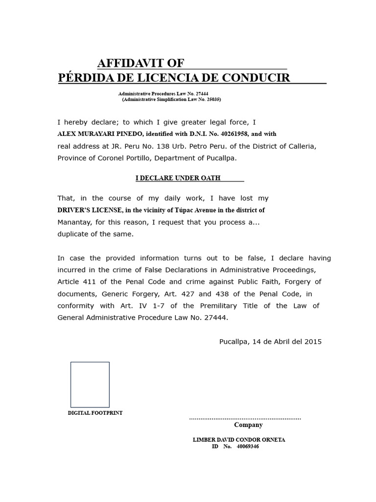 Affidavit for Lost Driver's License | PDF