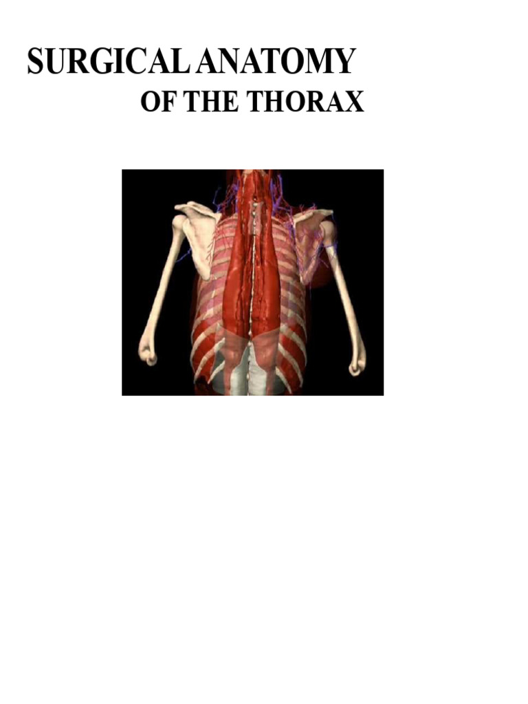 Surgical Anatomy of the Thorax | PDF