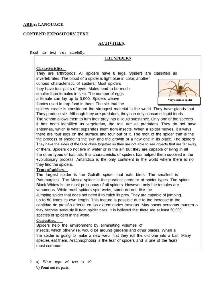 Spiders: Characteristics and Types | PDF | Spider | Spider Web