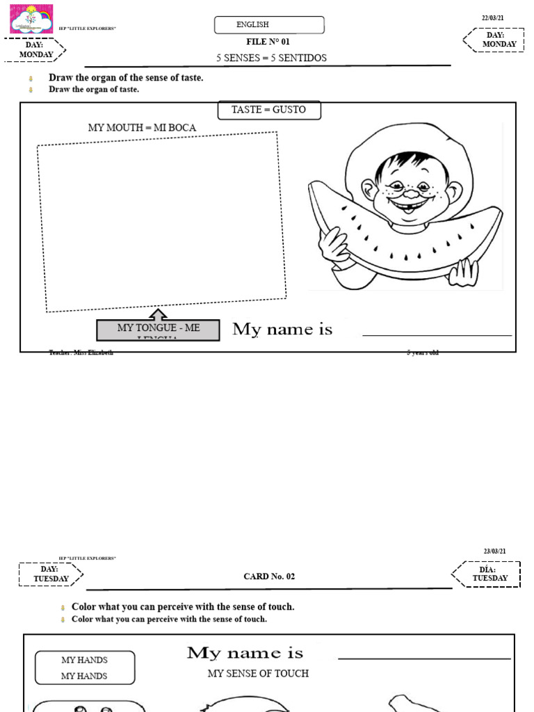Little Explorers: 5 Senses Activities | PDF | Senses | Cognitive Science