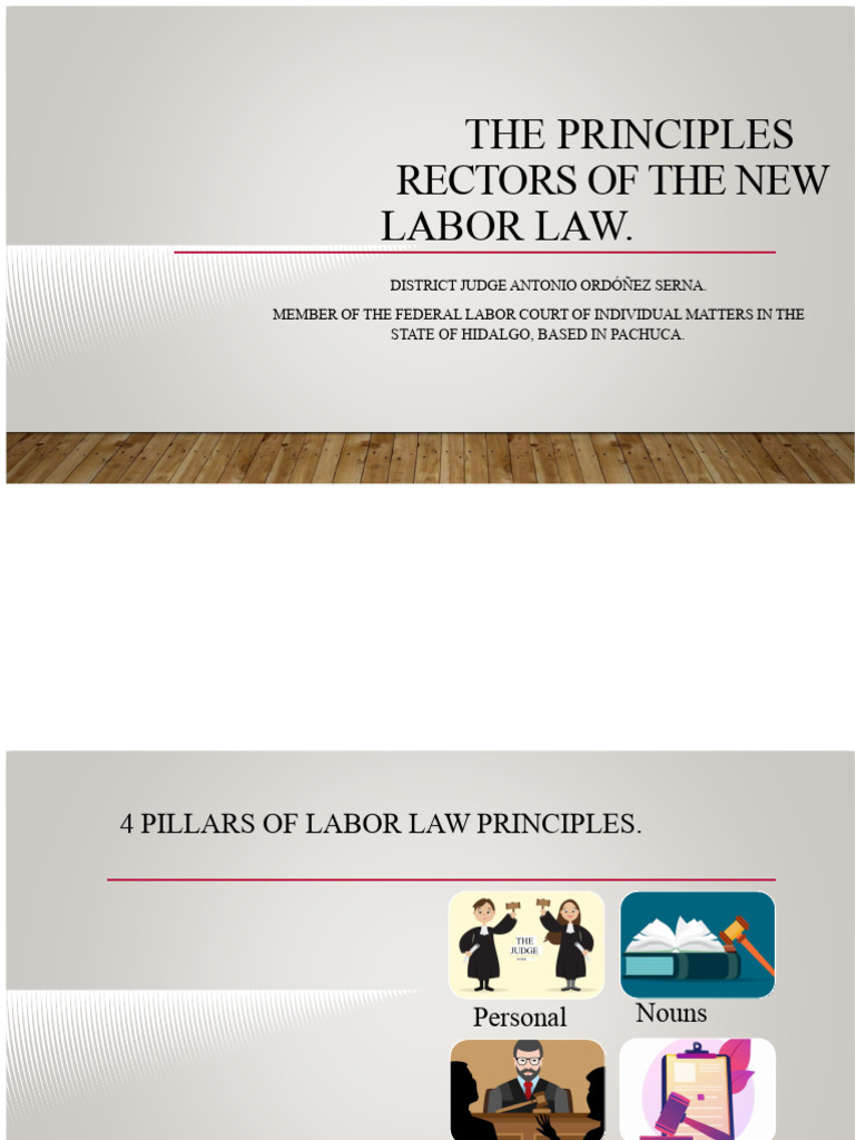The Guiding Principles of The New Labor Law | PDF | Government | Justice