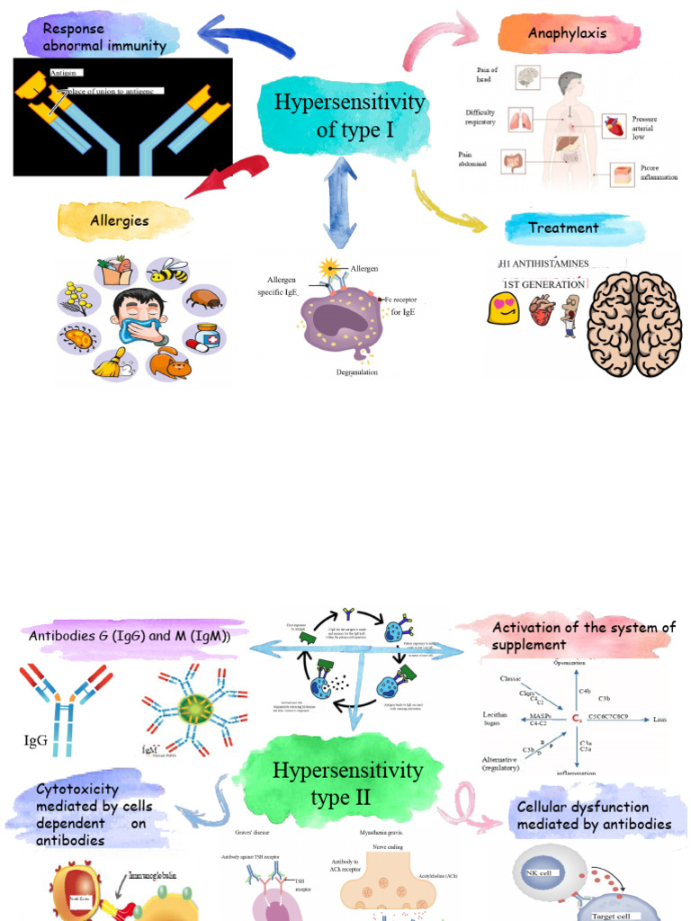 Mind maps of Hypersensitivity types 1, 2, 3, and 4 | PDF