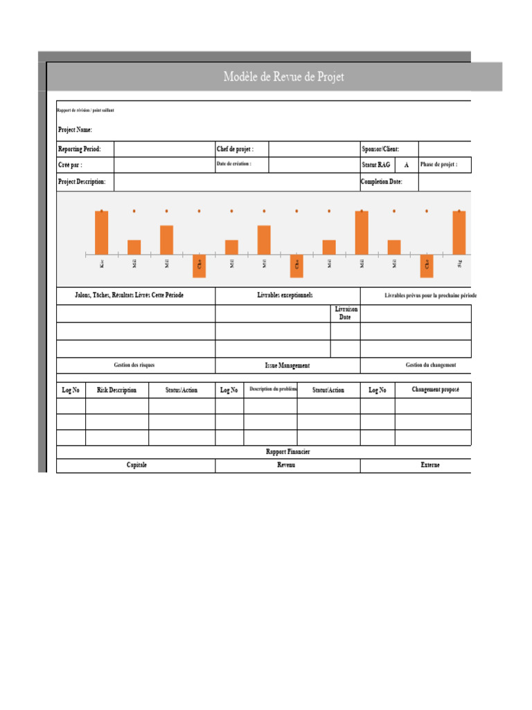 Modèle de Revue de Projet RAG Excel | PDF | Microsoft Excel