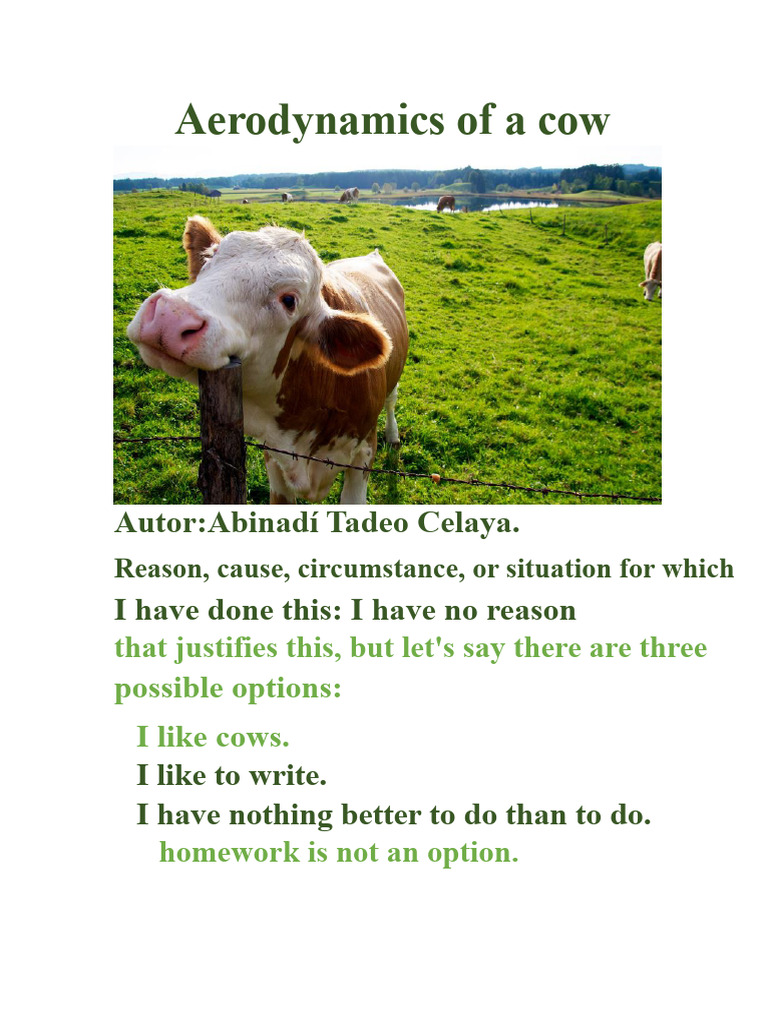 Aerodynamics of a cow | PDF