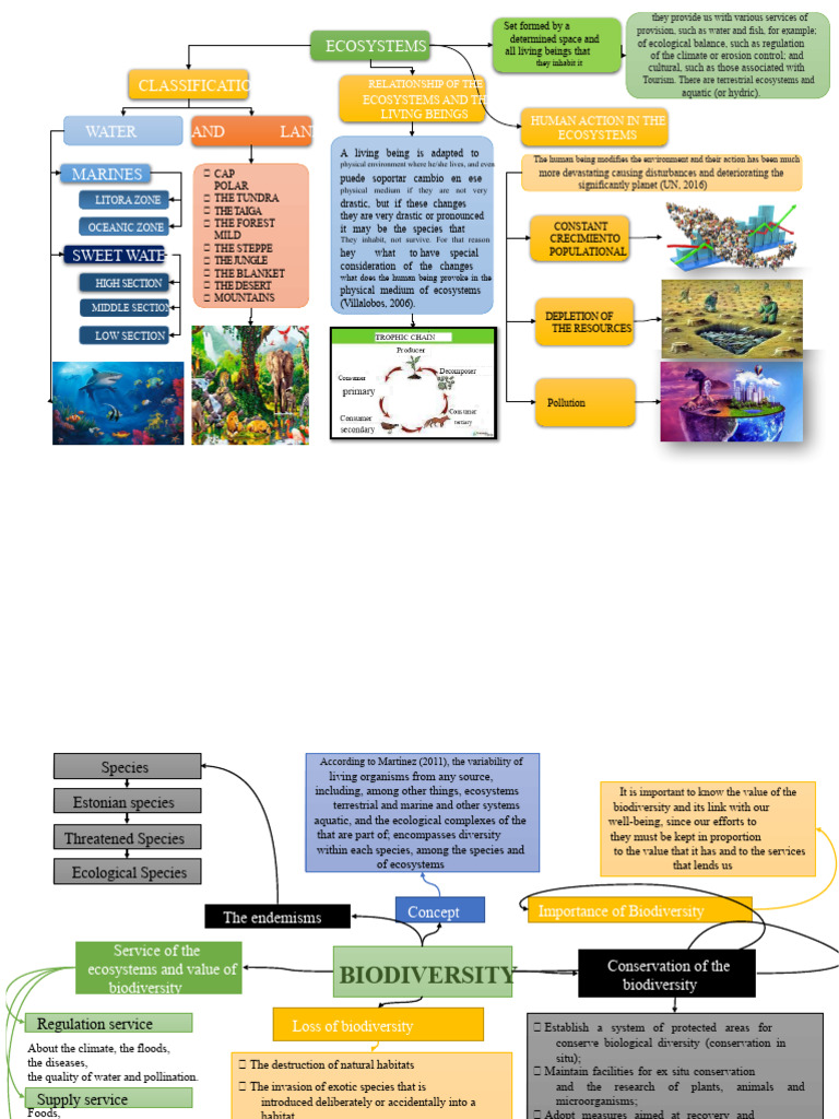 Visual Organizer Ecology and Natural Resources | PDF | Biodiversity ...