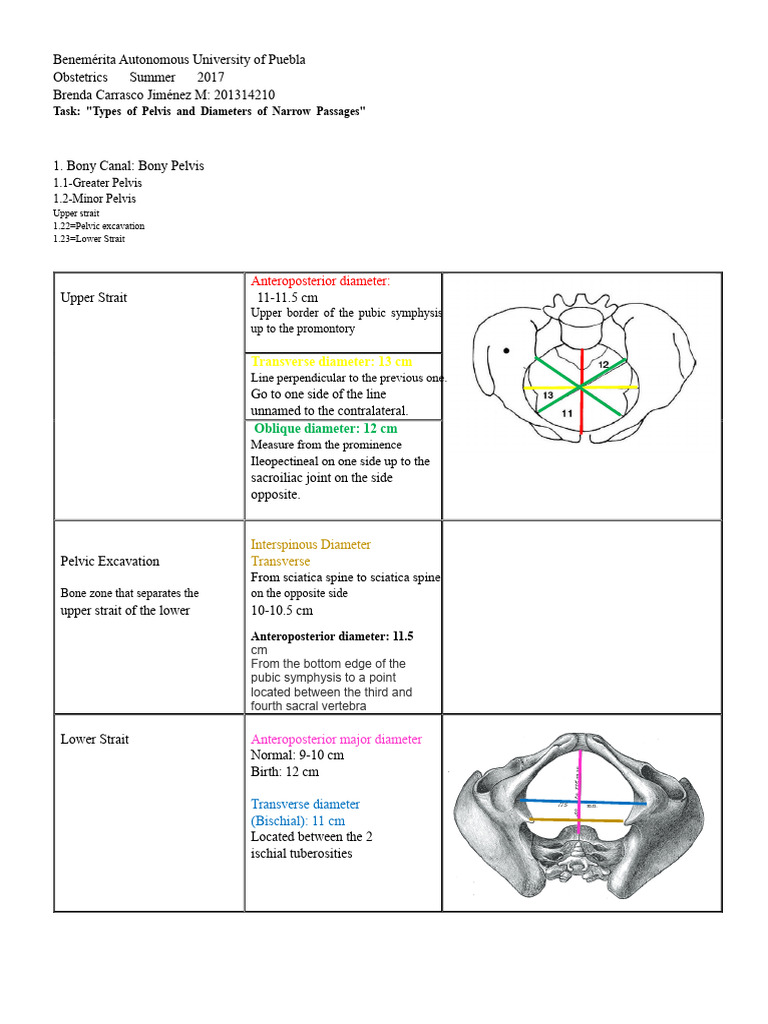Types of Pelvis and Narrow Passage Diameters | PDF