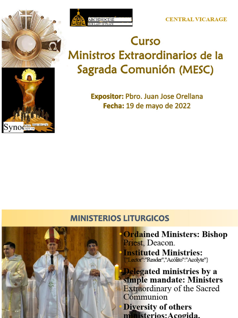 Guidelines for Extraordinary Ministers of Communion | PDF | Eucharist ...
