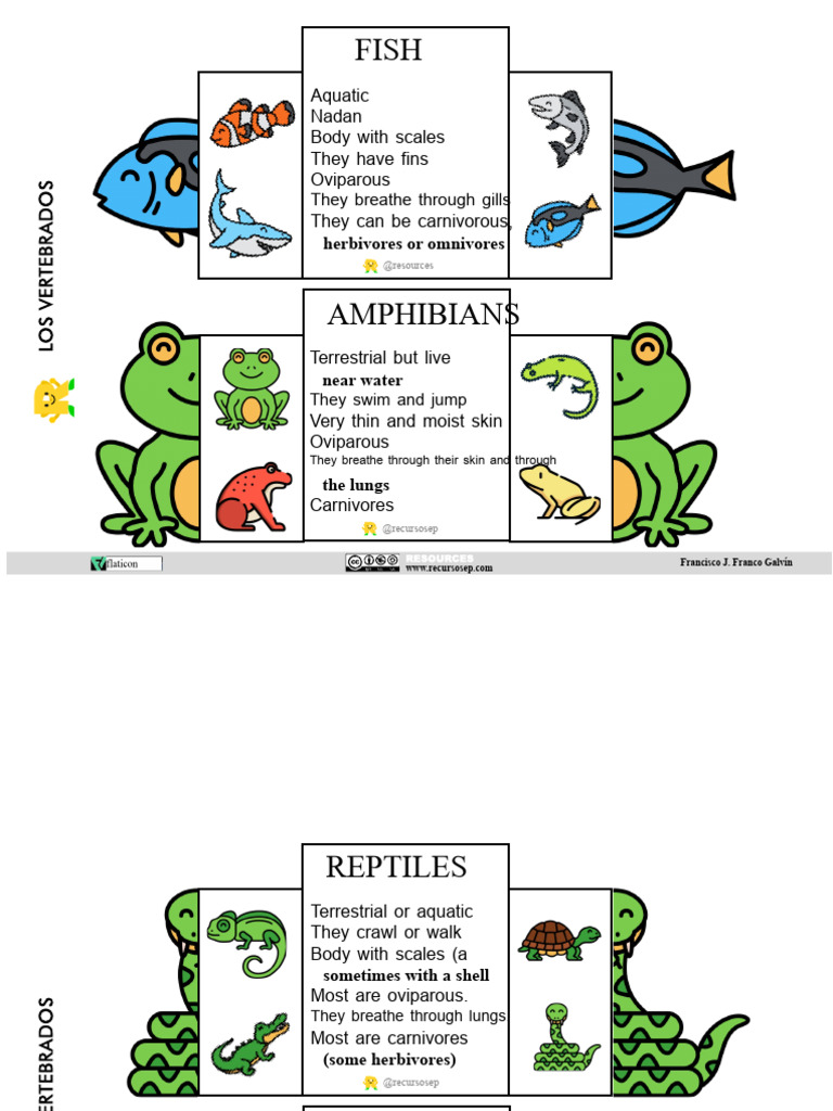vertebrate animals - foldable material - resources | PDF