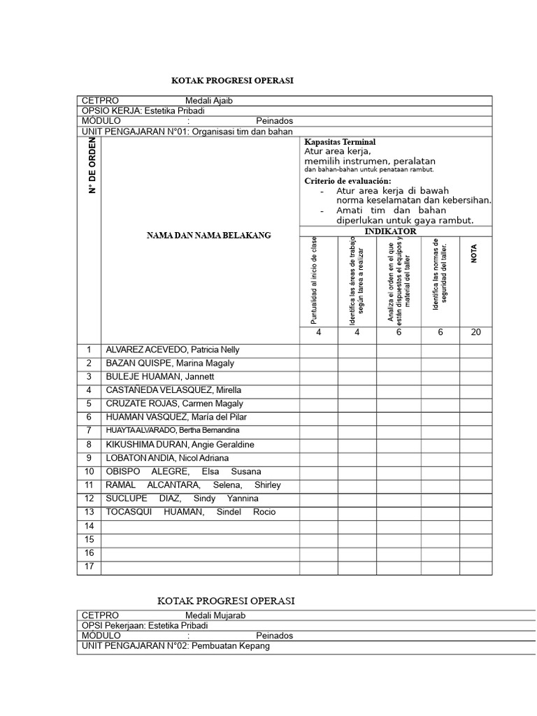 Progresi Operasi Estetika Pribadi | PDF
