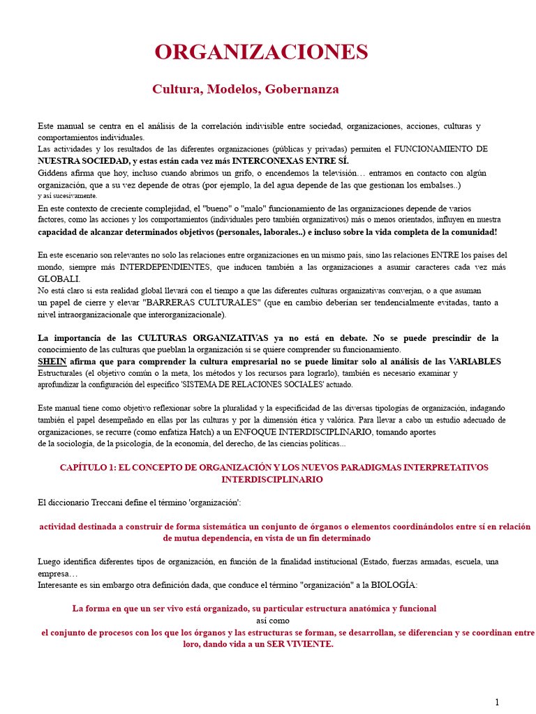 ORGANIZACIONES, modelos culturales, gobernanza resumen | PDF | Business ...