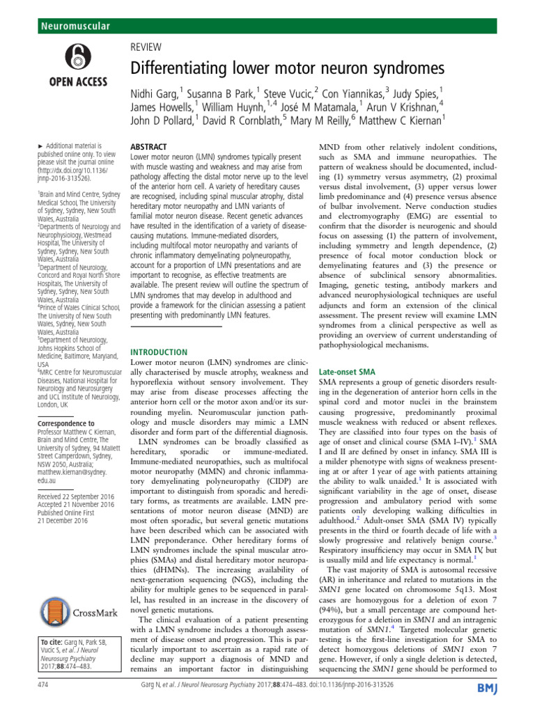 Differentiating Lower Motor Neuron Syndromes | PDF | Peripheral ...