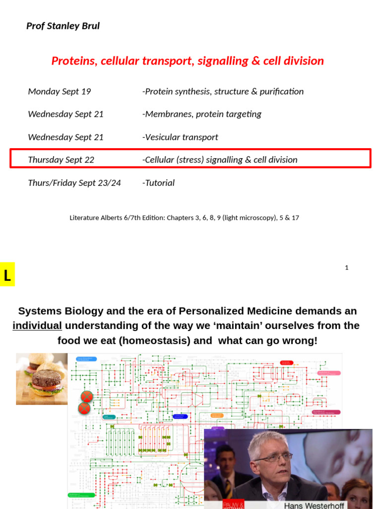 Lecture 4 StanleyBrul2022 Cellular (Stress) Signalling & Cell Division ...