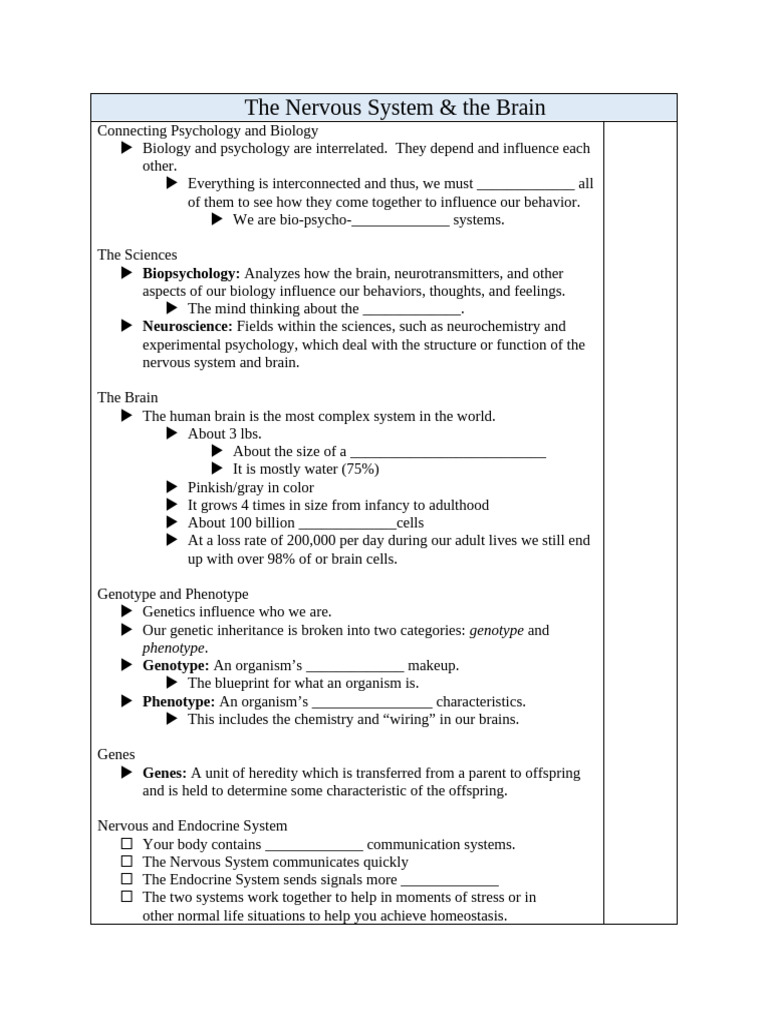 Understanding the Nervous System Basics | PDF | Action Potential | Axon