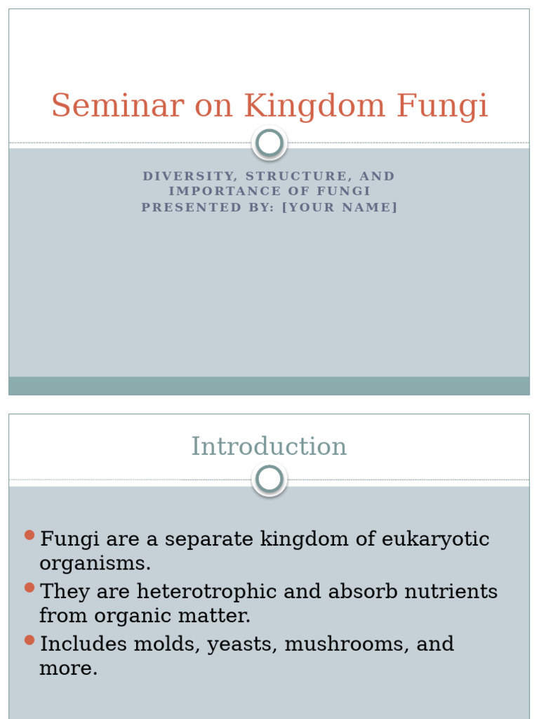Importance and Diversity of Fungi | PDF