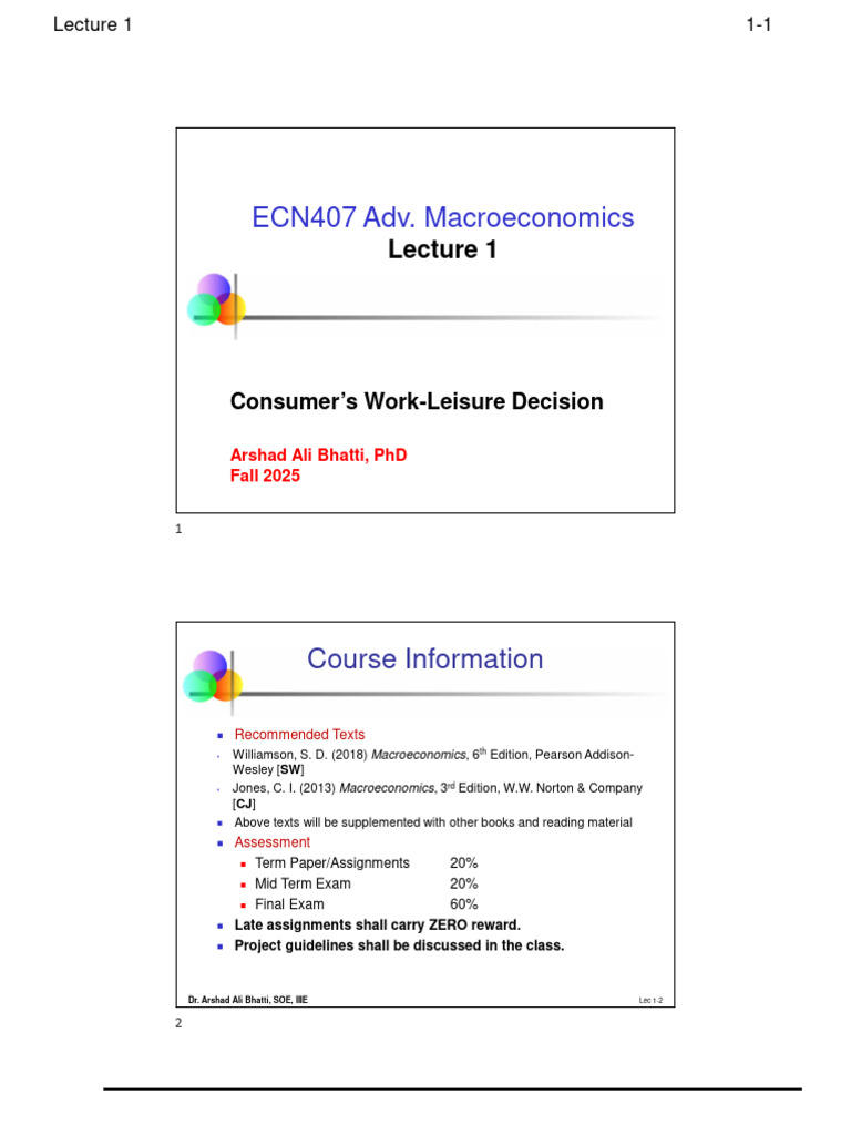 Consumer Work-Leisure Decisions in Economics | PDF | Microeconomics ...