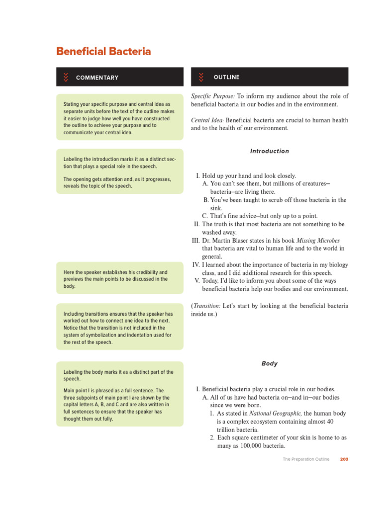 Class 11 - Preparation Outline and Speaking Outline Samples | PDF