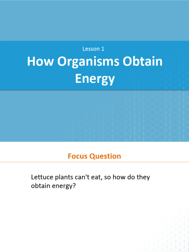 CA Lesson 1 How Organisms Obtain Energy | PDF | Metabolic Pathway ...