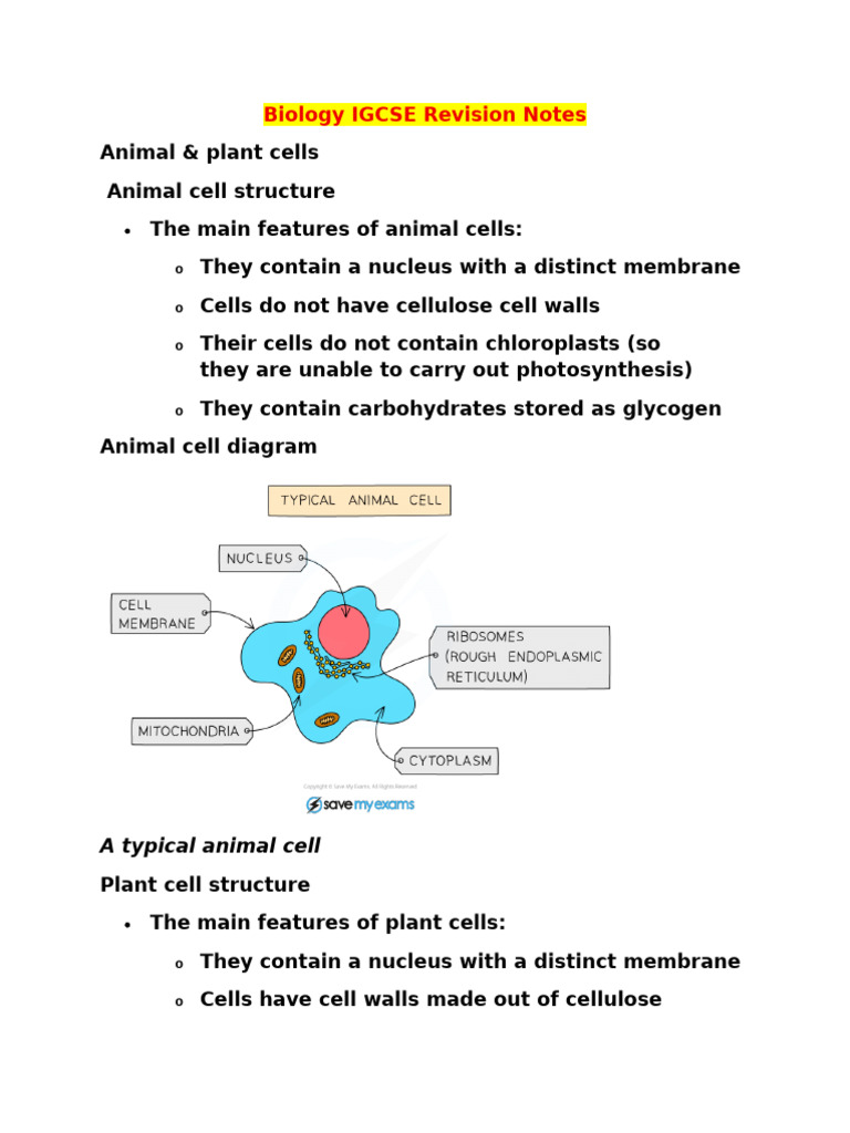IGCSE Biology Cell Structure Guide | PDF | Cell (Biology) | Bacteria