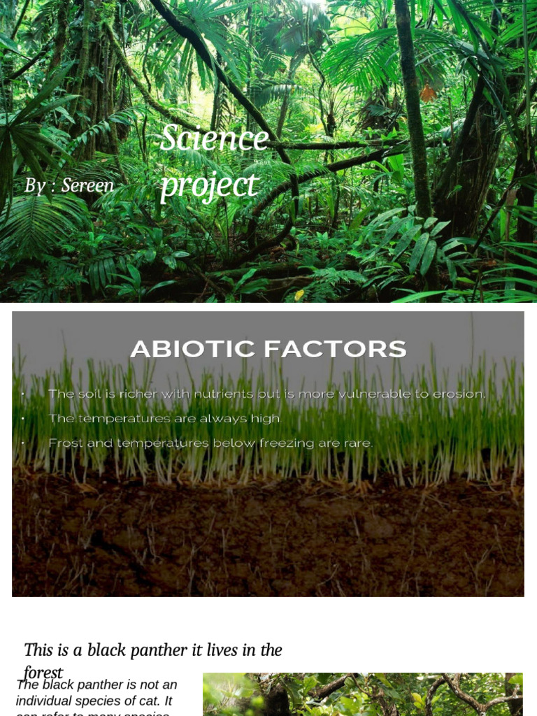 Science Project | PDF