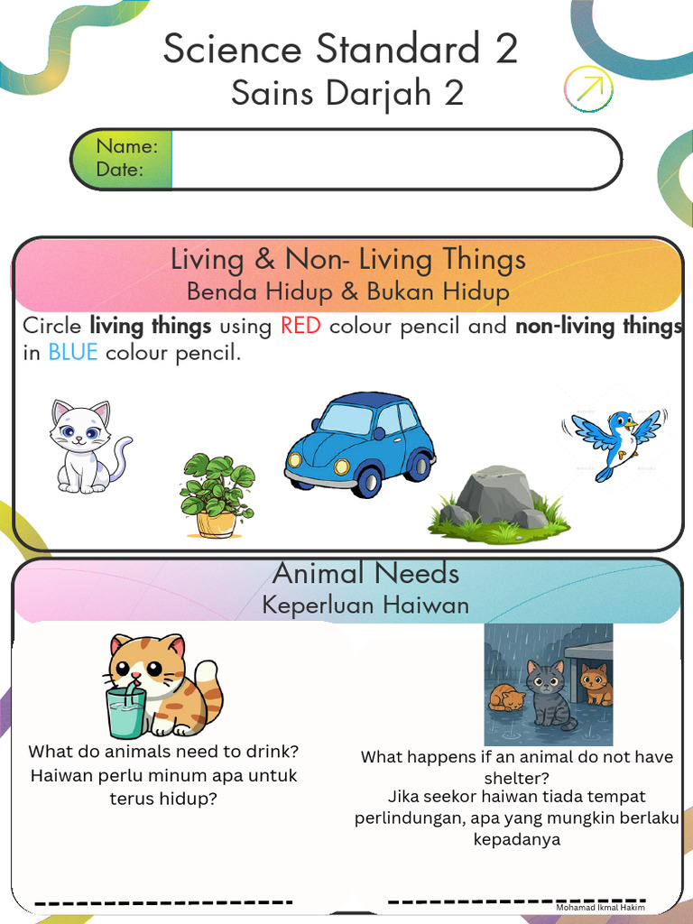 Revision Science Standard 2 | PDF