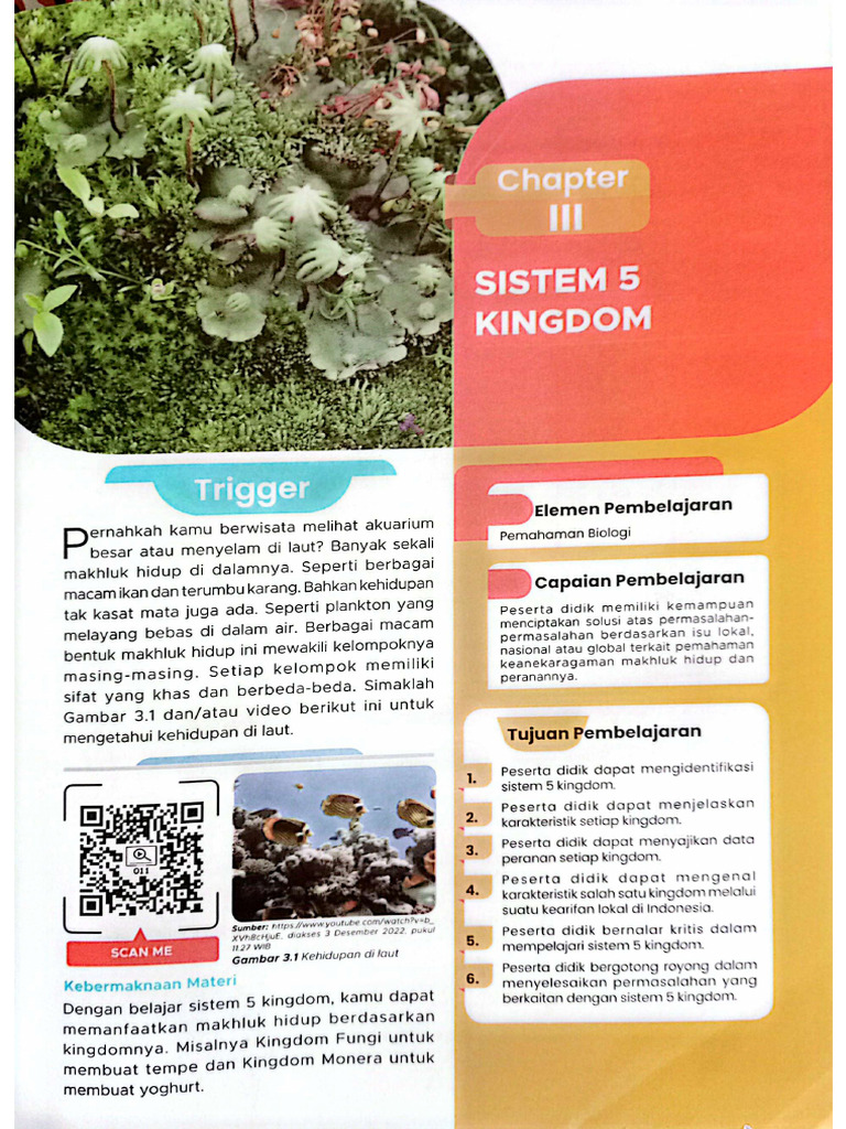 Sistem 5 Kingdom ipa kelas 10 kurkem mer | PDF