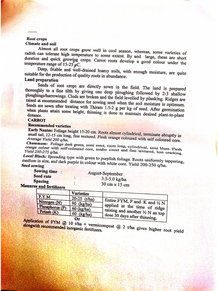 New Doc 12-16-2025 15.24 | PDF