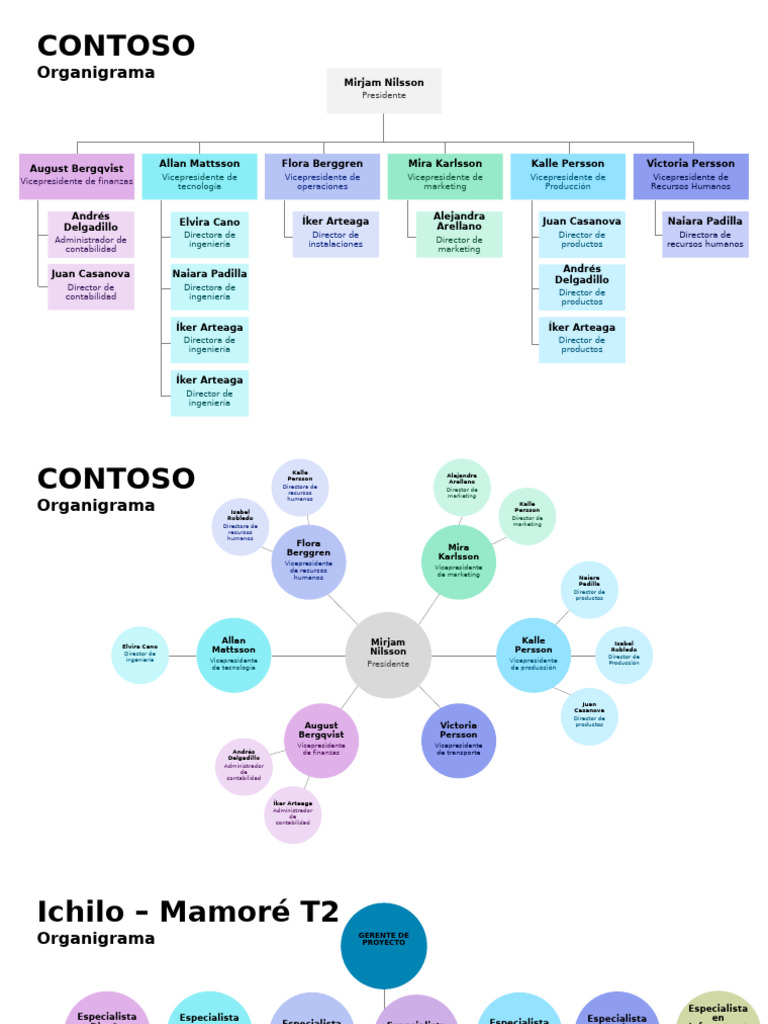 Organigrama de CONTOSO e Ichilo-Mamoré | PDF | Science | Negocios ...
