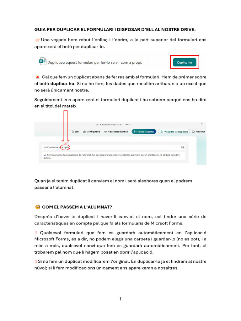 Guia Per Passar El Formulari | PDF