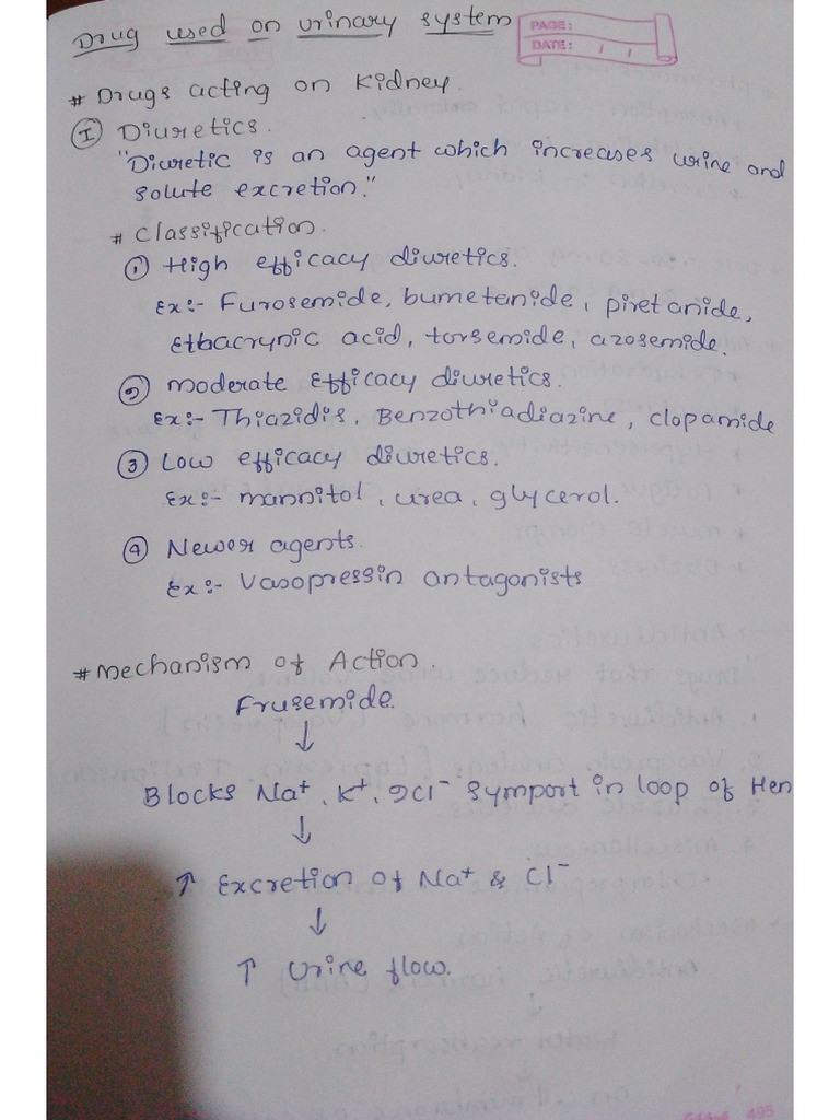 Urinary System (Pharmacology) | PDF