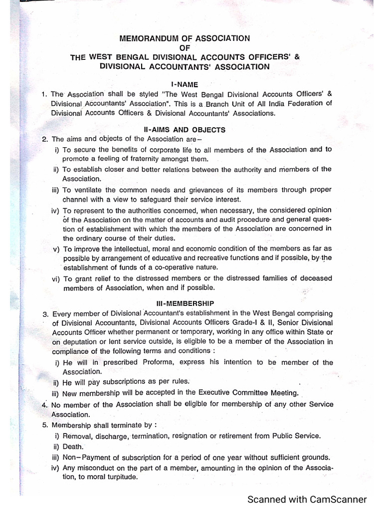 Association Constitution | PDF