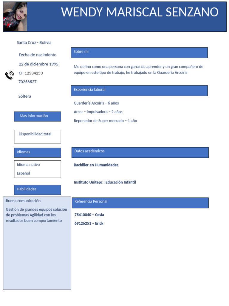 Perfil Profesional de Wendy Mariscal Senzano | PDF