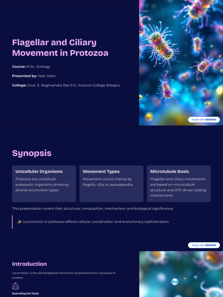 Flagellar and Ciliary Movement in Protozoa | PDF | Cell Biology | Cell ...