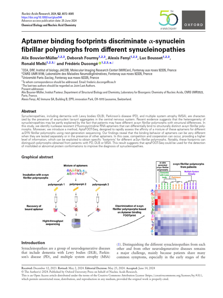 Aptamer Binding Footprints Discriminate Alpha-Synuclein Fibrillar ...