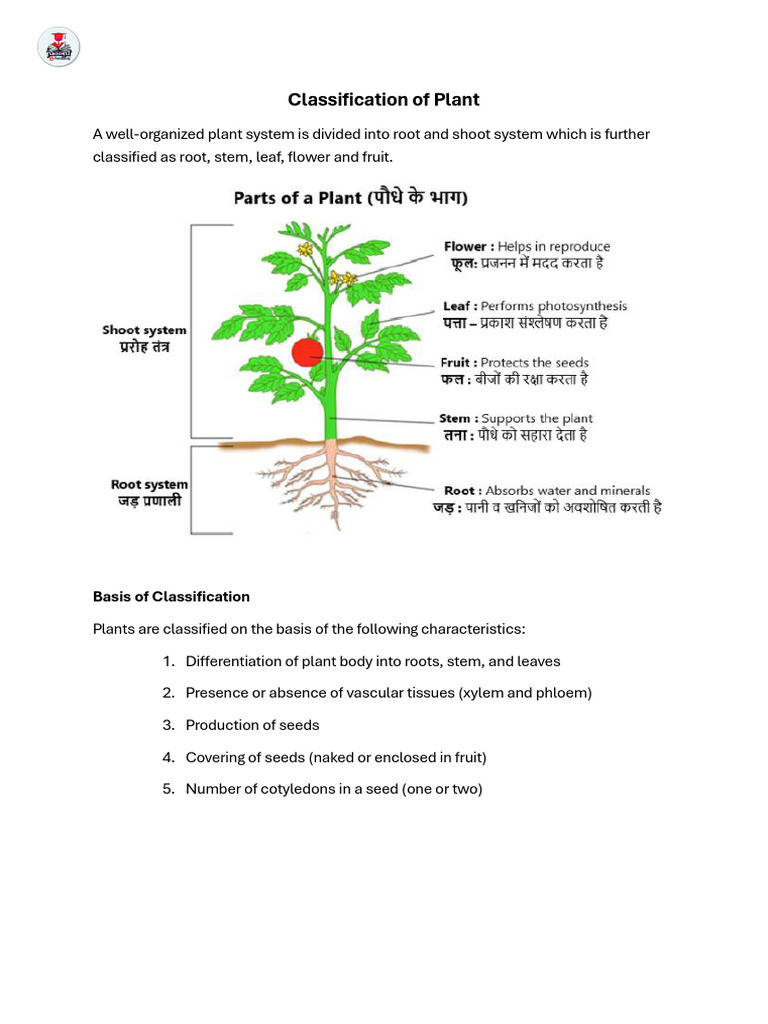 Plant Classification Overview and Types | PDF | Plants | Plant Stem