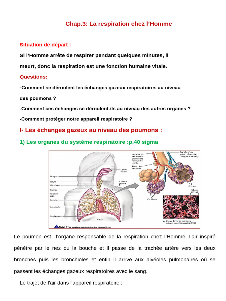 Échanges gazeux et respiration humaine | PDF | Respiration | Système ...