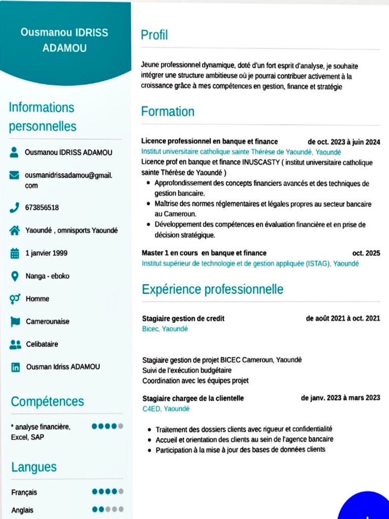 Profil Professionnel - Ou | PDF