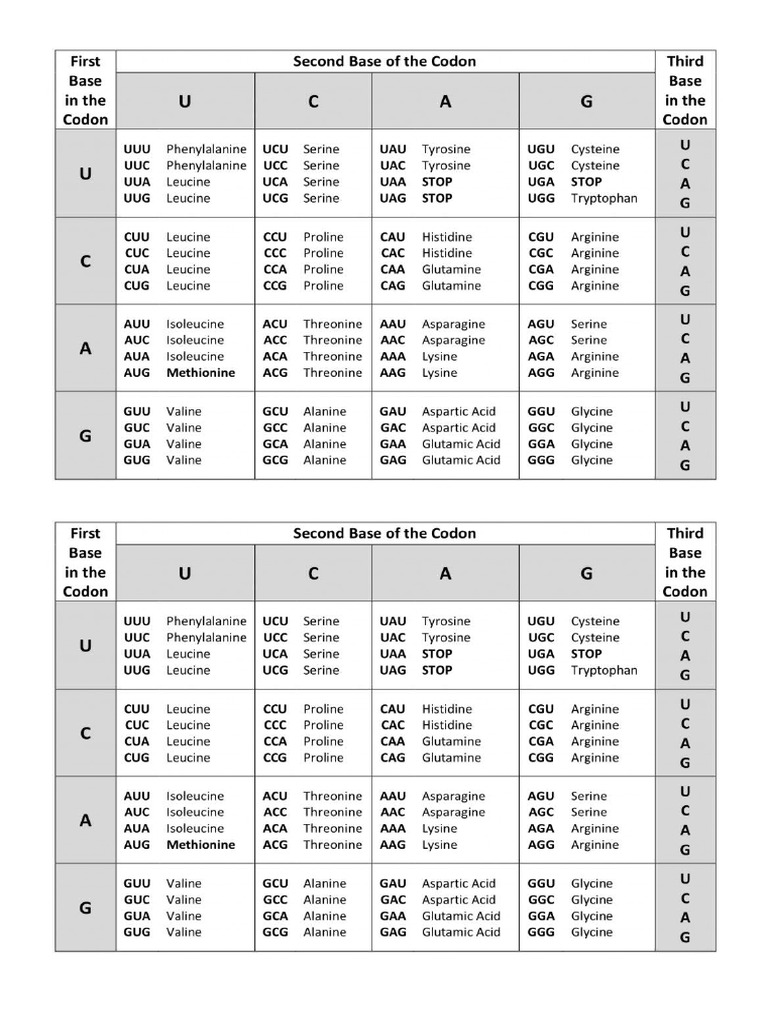 The Genetic Code Table | PDF