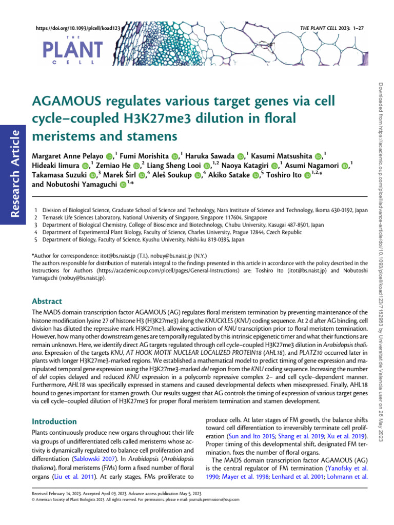 Pelayo Et Al 2023 AGAMOUS Regulates Various Target Genes via Cell Cycle ...