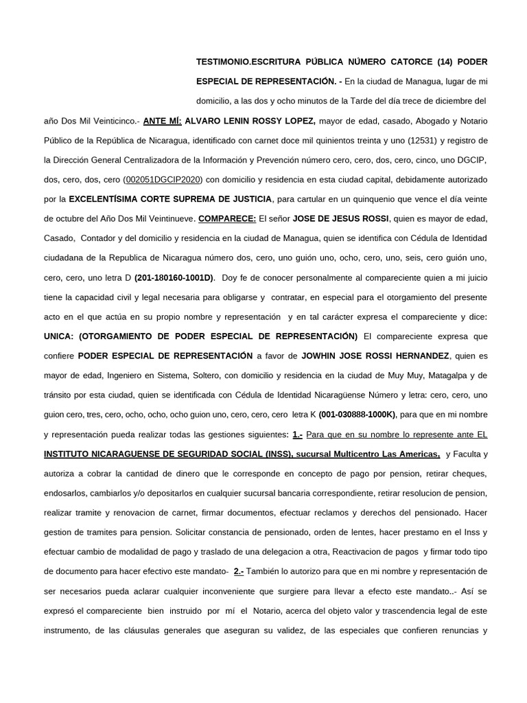 Poder Especial de Representación Notarial | PDF