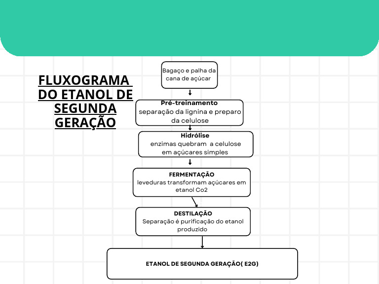 Green and White Simple Minimalist Project Phases Flowchart | PDF