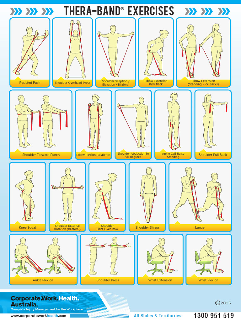 Thera Band All Exercises Handout | PDF | Anatomical Terms Of Motion | Shoulder
