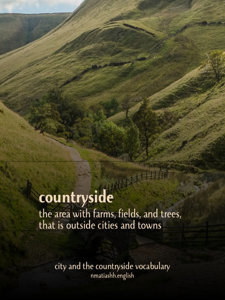 Сity and the Countryside (Nmatiashh.english) | PDF | Rural Area | Traffic