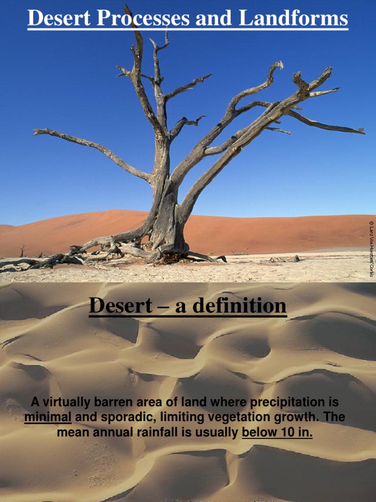 Desert Processes and Landforms | PDF | Science & Mathematics