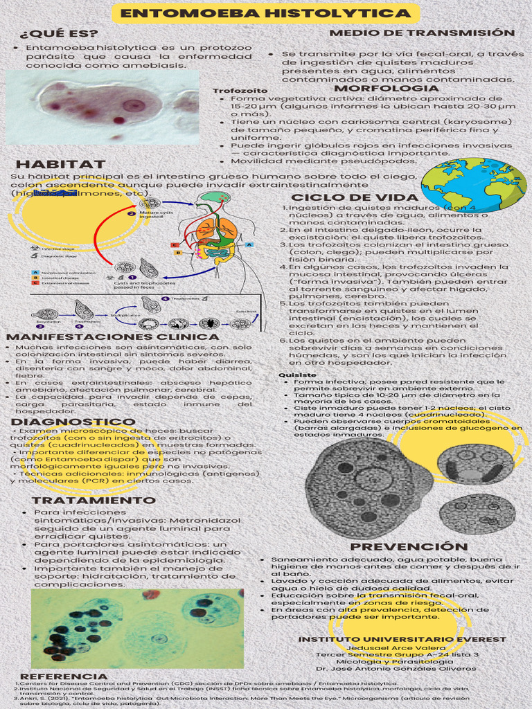 Infografia ENTOMOEBA HISTOLYTICA Arce Valera Jedusael Grupo a-24 Lista ...