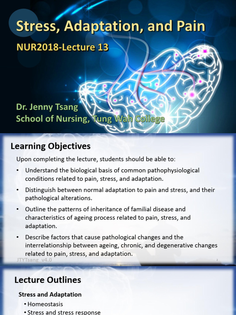 Nur2018 Lecture 13 Stress Adaptation Pain 2526s1 Pdf Stress