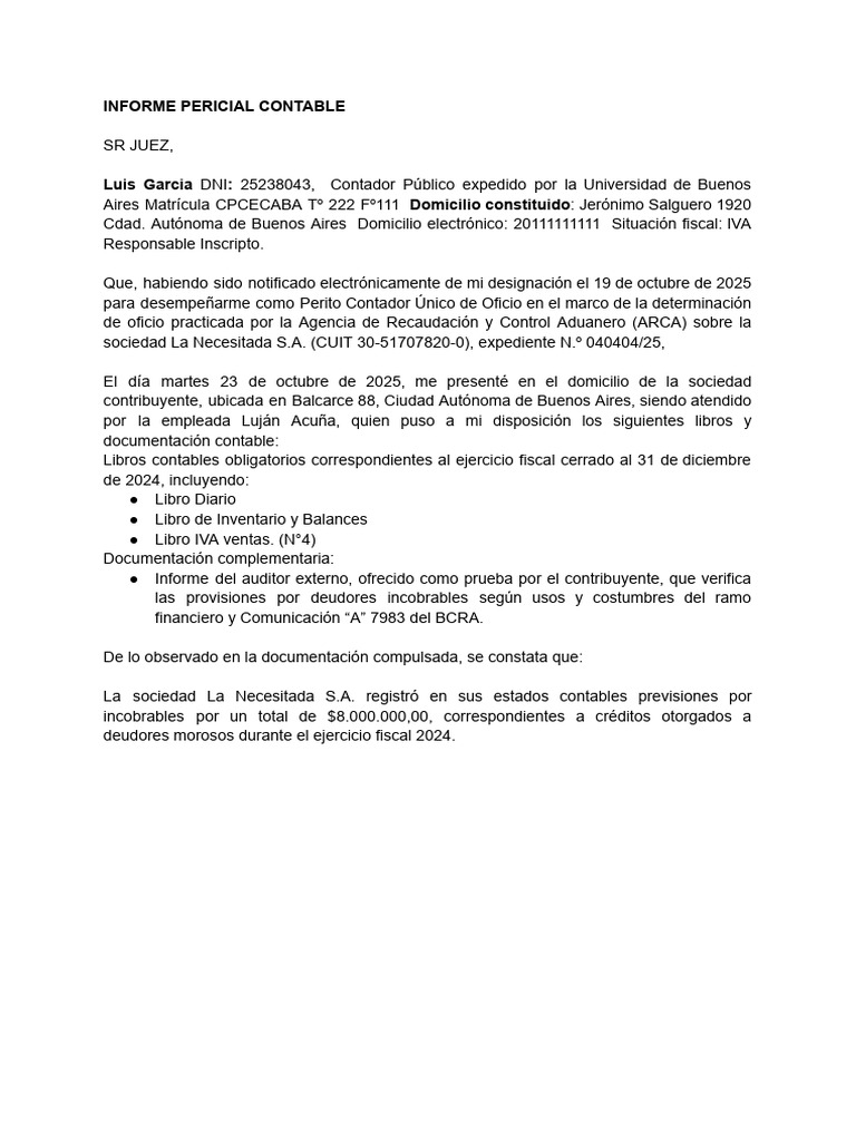 Informe Pericial Contable sobre Deudores Incobrables | PDF | Business